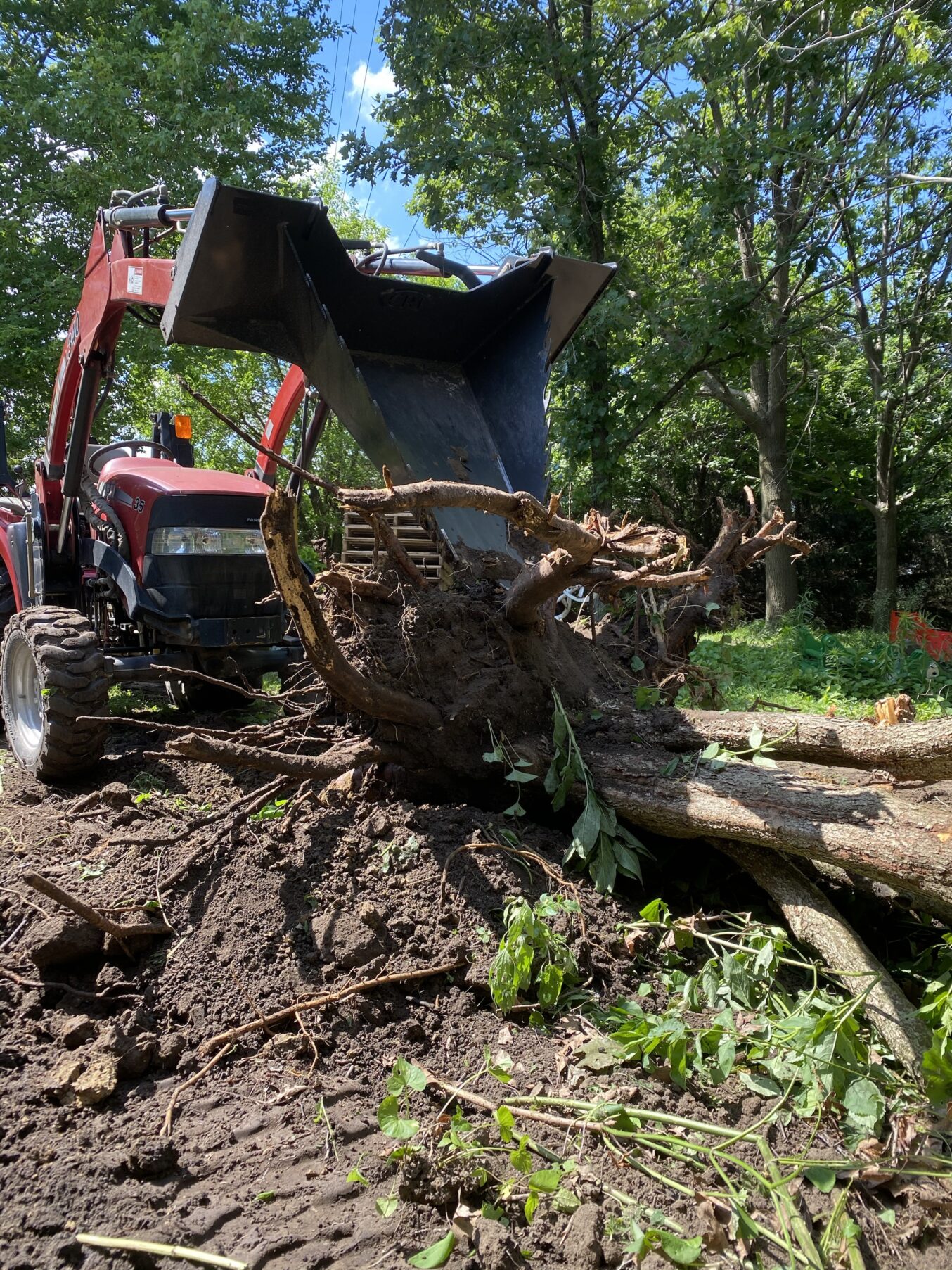 CRI 32″ Compact Tractor Stump Bucket – Cold Roll Industrial